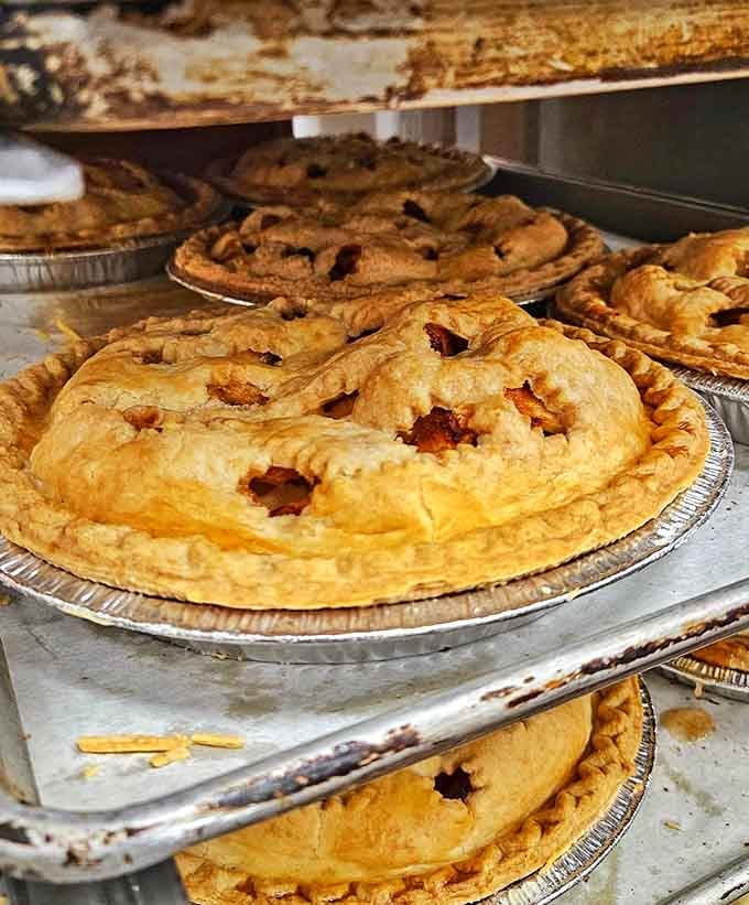 Those lattice-topped fruit pies aren't just pretty, they're the kind of homemade goodness that makes you reconsider store-bought forever.