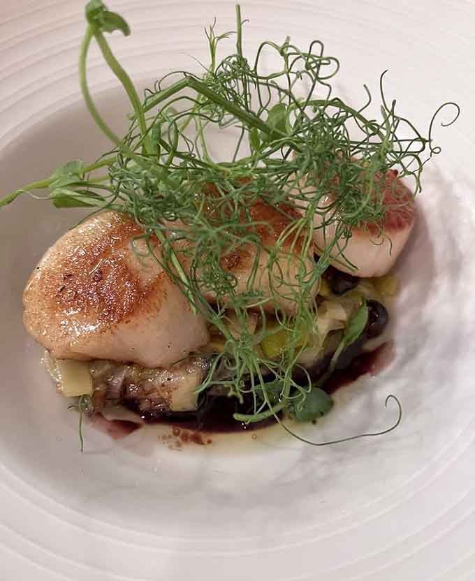 Golden-seared scallops topped with delicate microgreens show that elegance doesn't require a white tablecloth or a stuffy atmosphere to shine.