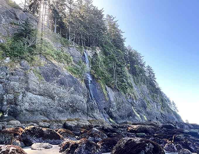 When a waterfall meets the ocean, you get the kind of natural collaboration that puts most Hollywood partnerships to shame.