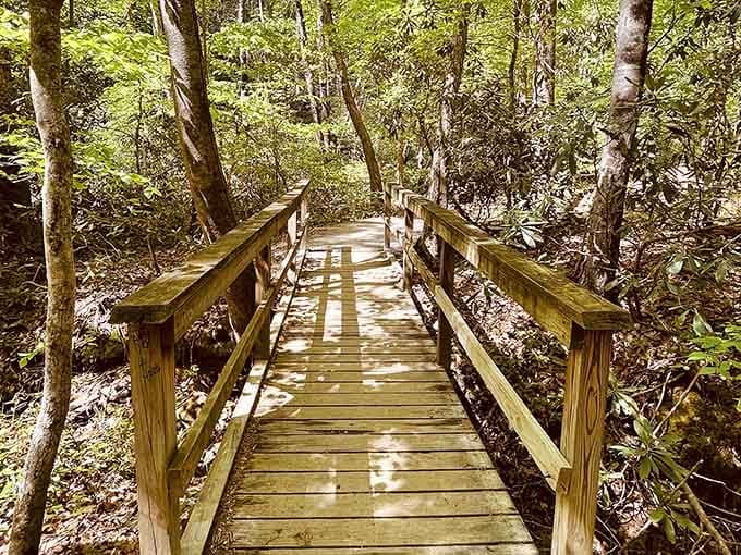 This boardwalk makes the journey accessible, because everyone deserves to witness this kind of beauty.