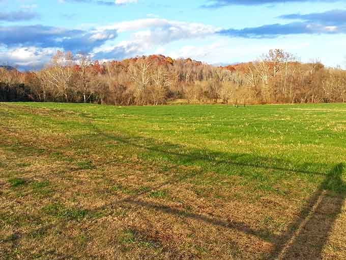 Open fields stretch toward distant peaks, reminding you why mountain living beats traffic jams daily.