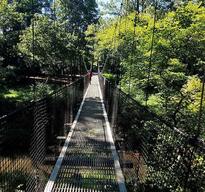 From this angle, the bridge looks like it's floating between the trees, defying gravity and common sense.