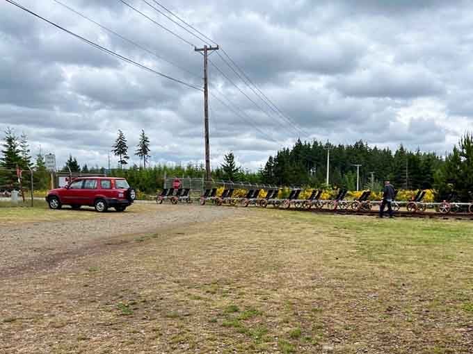 Your journey begins here, where rows of bright rail bikes await their next forest expedition.