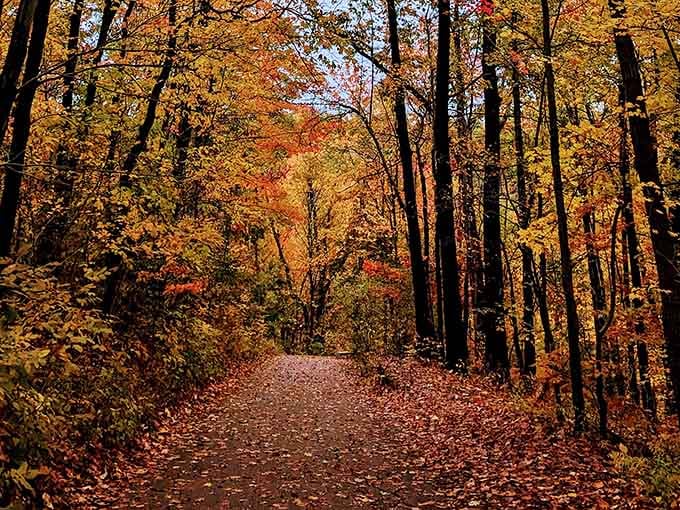 Autumn transforms the trail into something that looks like a New England postcard, minus the tourist crowds.