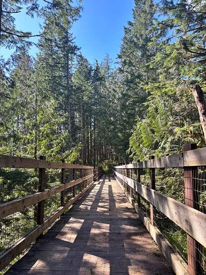 Another bridge means you're getting closer, and your calves are definitely keeping track of the elevation gain by now.