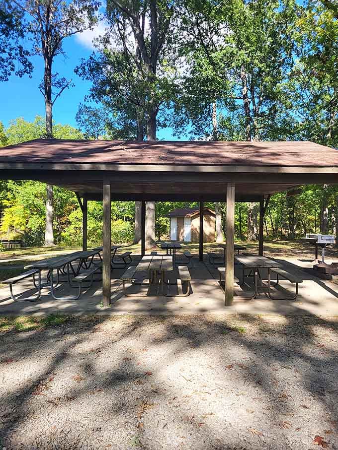 Covered pavilions: proof that someone understood Illinois weather can't always be trusted to behave itself.