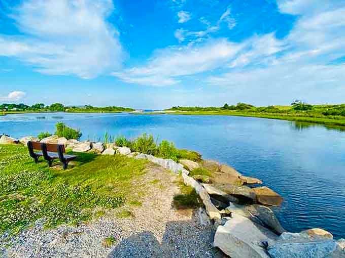Park benches with million-dollar views prove the best things in life really can be completely free.