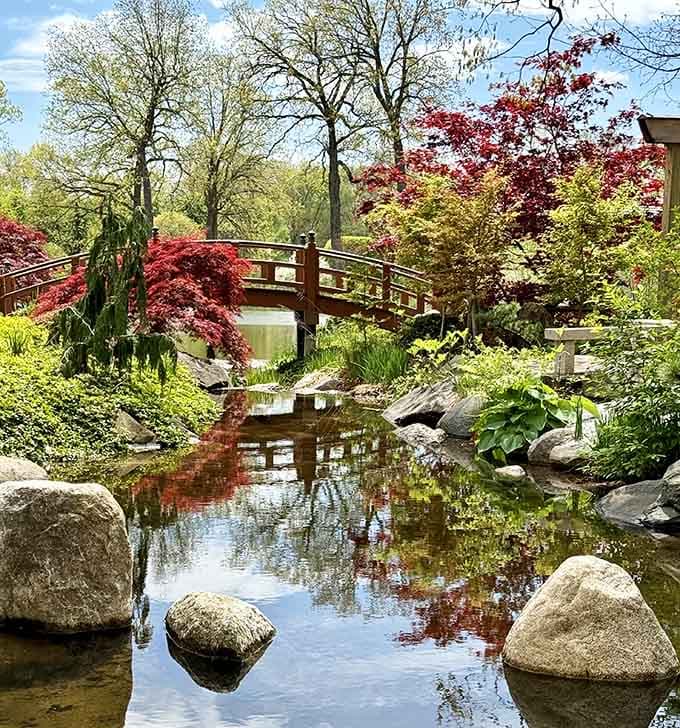 Japanese maples reflect in still water, creating a mirror image that'll make your camera very happy.