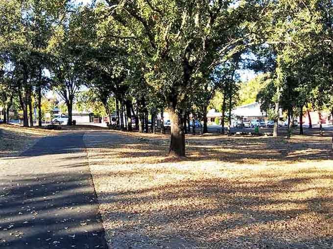 Golden leaves carpet the ground like nature's own welcome mat for your autumn adventure.