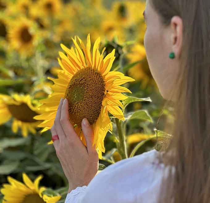 One perfect bloom holds court, its intricate center proving that nature's geometry beats any artist's careful design.