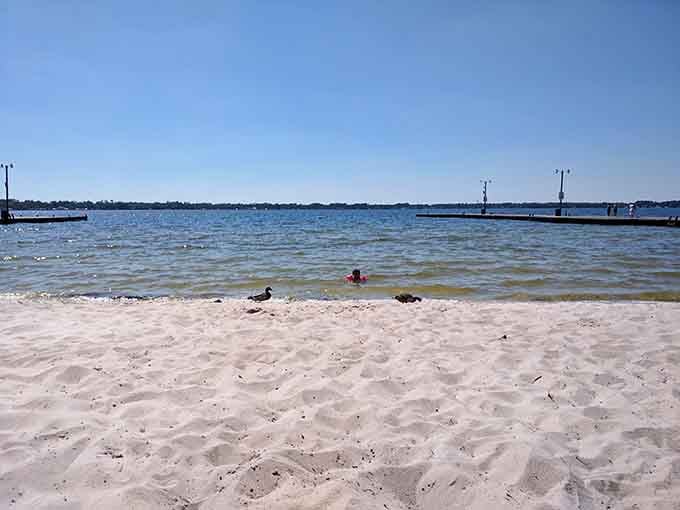 White sand meeting gentle waves proves you don't need an ocean to feel like you're on vacation.