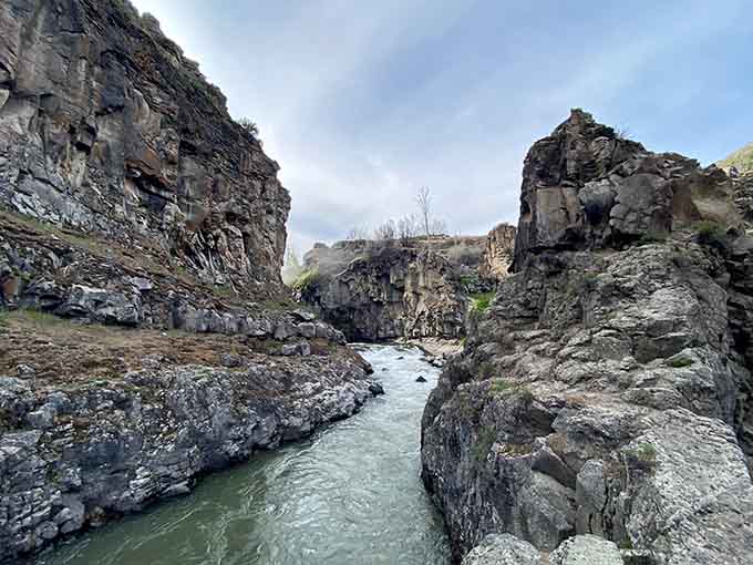 Downstream from the falls, the river carves through volcanic rock in shades that belong on an artist's palette.