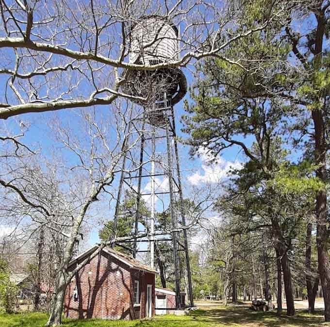 That vintage water tower isn't just photogenic, it's a genuine piece of New Jersey's cranberry farming history.