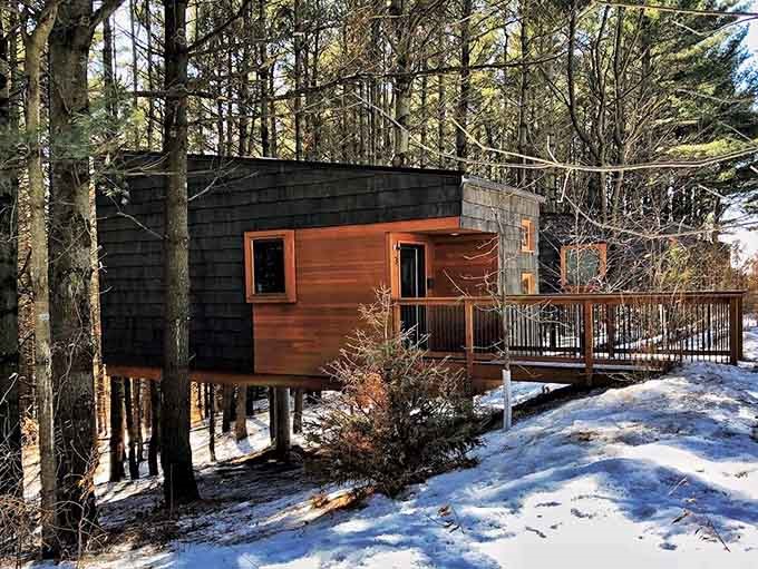 This camper cabin is what happens when someone finally understands that "roughing it" should still include actual walls.