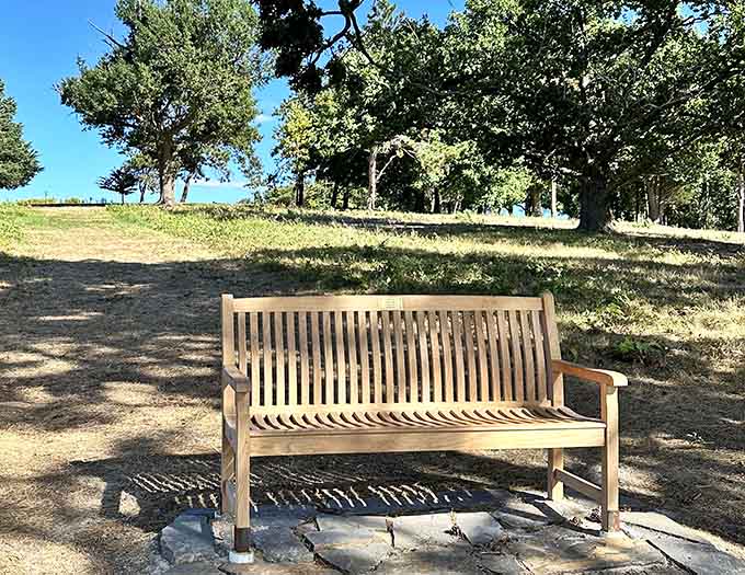 Strategic bench placement means someone understood that spectacular views require comfortable seating and contemplative pauses.