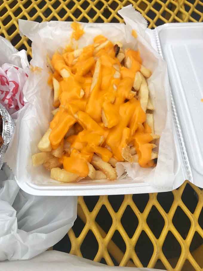 Cheese fries that understand their assignment: be golden, be generous, and don't skimp on the cheese sauce.