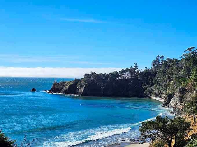 That stunning blue cove framed by forested cliffs proves Northern California knows how to do tropical colors.