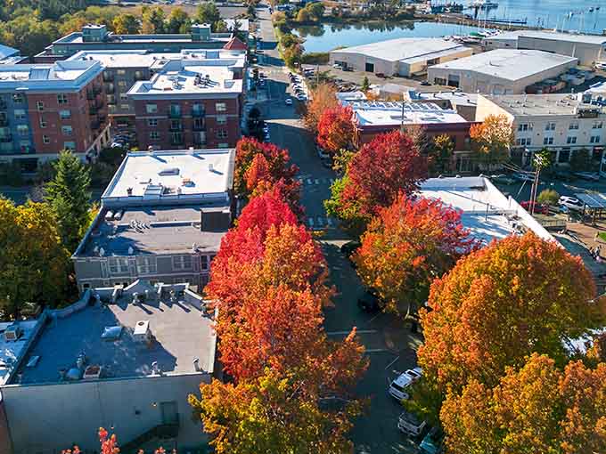 Fall transforms ordinary trees into flames of crimson and gold, painting the town in nature's most spectacular palette.