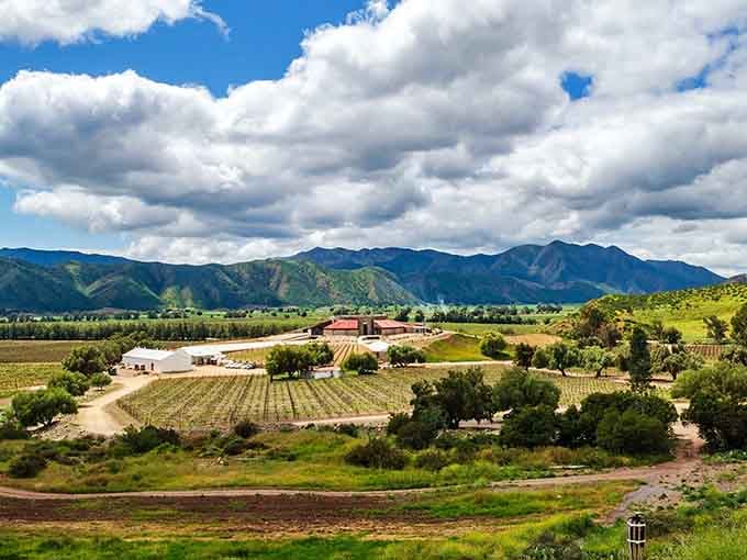 Vineyards stretch toward distant peaks like green ribbons, where mountain air meets agricultural tradition in perfect harmony.