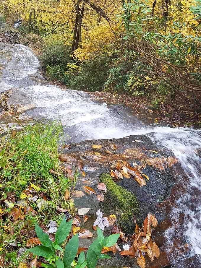 Golden autumn leaves drift past rushing water, proving this swimming hole shines beautifully in every season of the year.