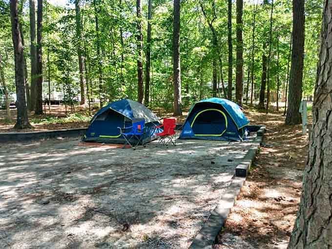Shaded, peaceful woods at Coneross Park provide a lovely setting where your tents and camp chairs await a relaxing retreat.