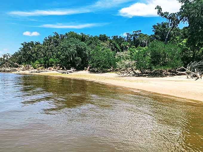 This pristine beach could pass for a Caribbean getaway, complete with driftwood and live oaks framing golden sand.