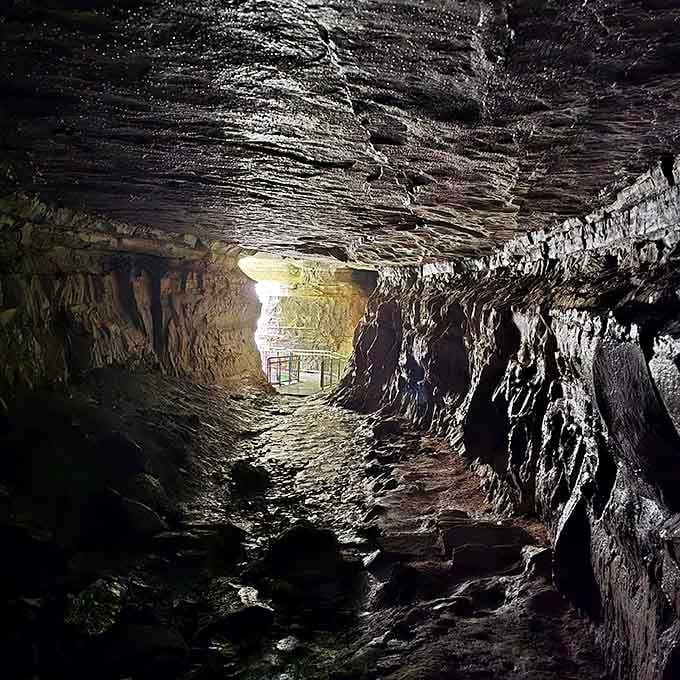 Sunlight beckons from the entrance, reminding you there's a whole world above this mysterious passage carved by patient water.