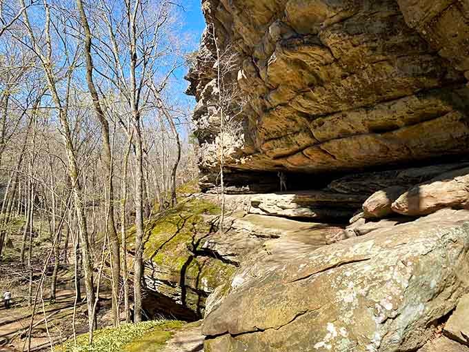 A massive rock overhang creates a natural shelter where moss clings to stone and shadows stay cool year-round.
