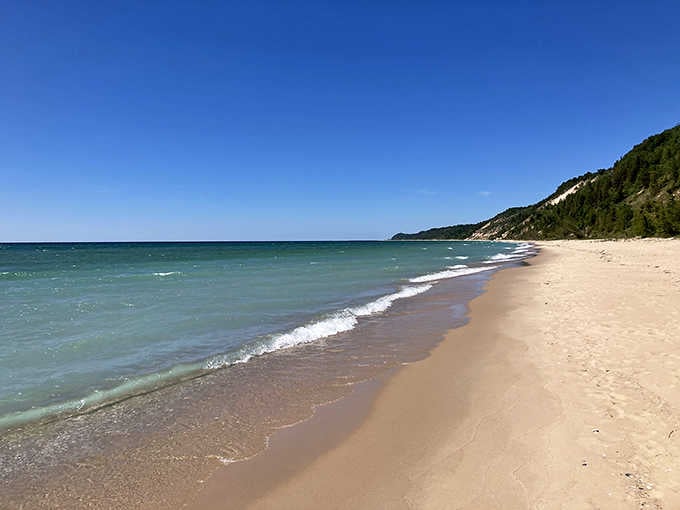 Powder-soft sand stretches endlessly along Lake Michigan's turquoise waves, rivaling any Caribbean beach without the expensive plane ticket.