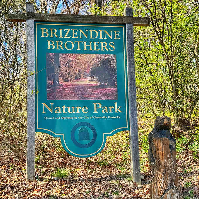 This nature park sign welcomes visitors with promises of trails, fresh air, and that carved wooden friend standing guard.