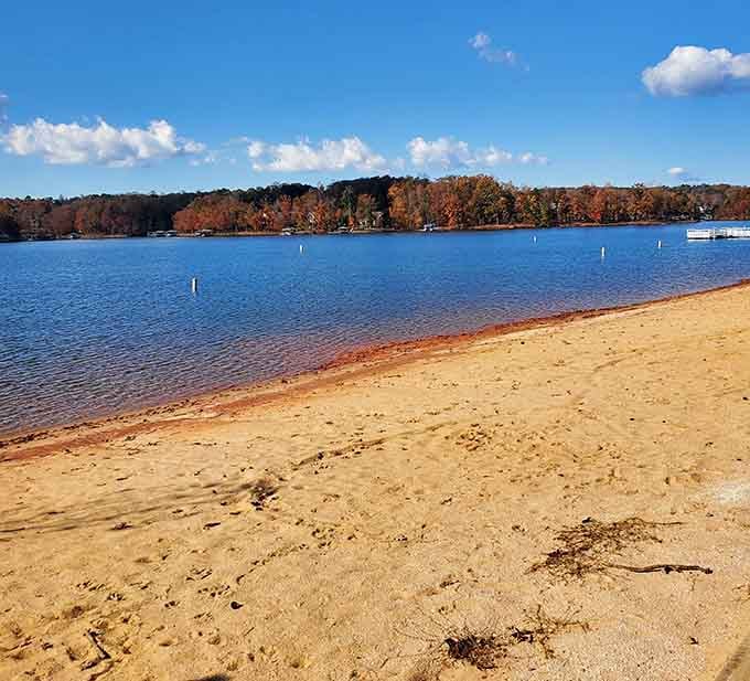 Families dot the shoreline while pine trees frame the scene, creating a postcard-perfect lake beach day.