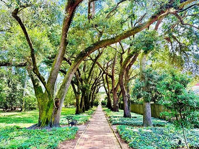 Tree-lined paths create natural tunnels where dappled sunlight plays hopscotch on the brick walkway below your feet.