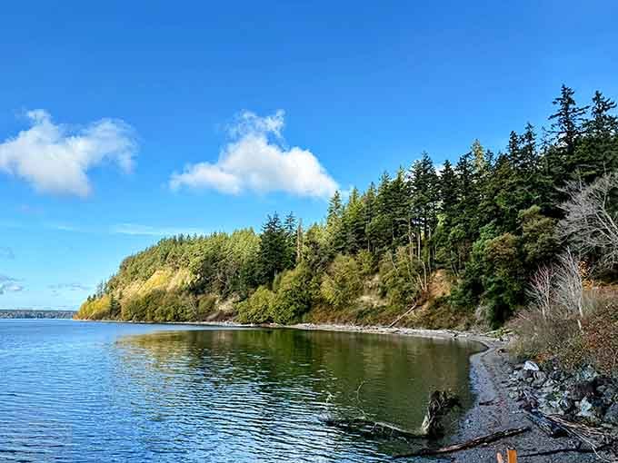 Sunlight dances across the water where forested bluffs meet the shore in stunning natural beauty.