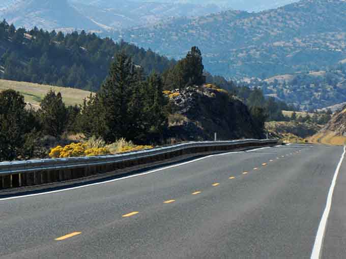 Golden wildflowers frame this smooth highway curve, proving that even guardrails can't contain this kind of natural beauty.