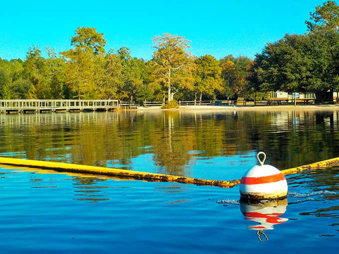 Mirror-smooth lake water reflecting trees and sky&mdash;this tranquil scene practically begs you to pull over and breathe.