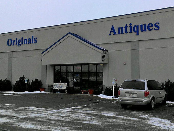 That clean storefront design makes finding vintage gems feel surprisingly modern and accessible for everyone.