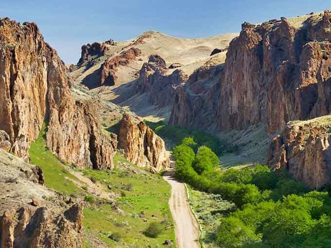 Towering canyon walls frame a ribbon of green where the Owyhee River carves through ancient rock.