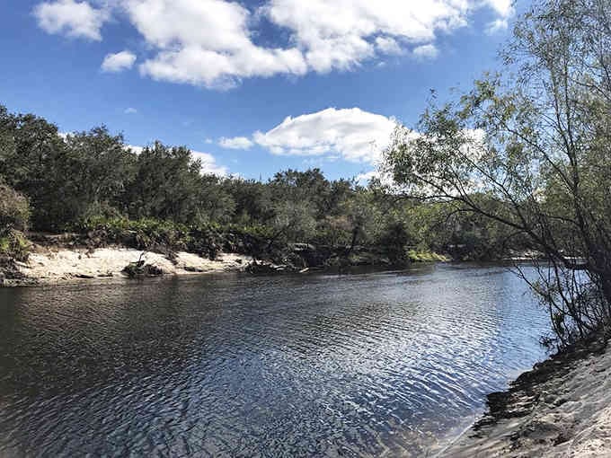This peaceful river bend curves through untouched wilderness where time moves slower and fossils wait in the shallows.