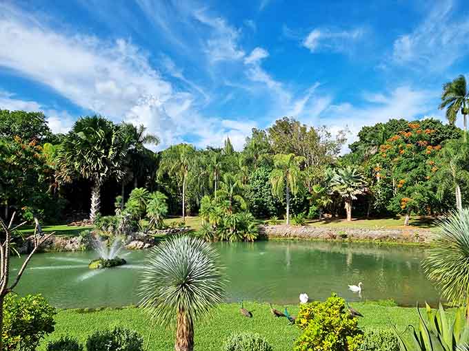 A koi pond reflects the lush canopy above while colorful fish glide beneath like living jewels.