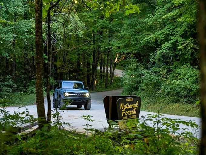 A blue Bronco enters Pisgah National Forest where ancient trees and modern adventures meet on winding mountain roads.