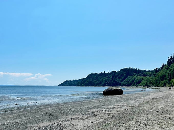 A single boulder rests on the sand like a giant's forgotten marble, with green forests climbing the hillside beyond.