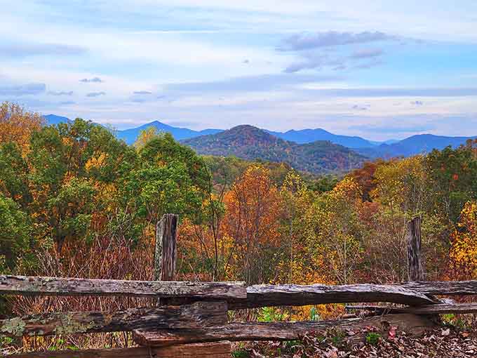 When autumn decides to show off, it pulls out every color in the crayon box for this spectacular display.