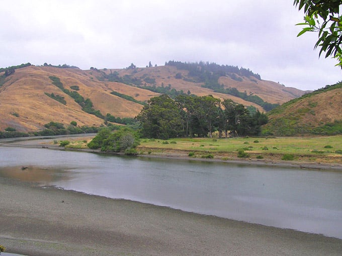 Golden hills embrace calm waters where even the ducks know they've found paradise worth staying for.