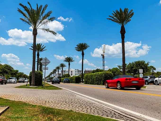 Those palm trees stand at attention like a tropical honor guard welcoming you to coastal paradise.