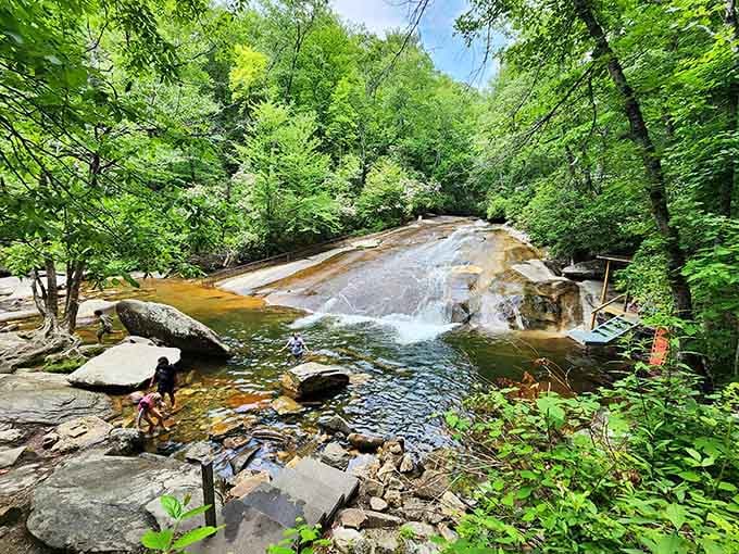Nature's water park in full summer glory, where mountain streams create the ultimate refreshing slide experience.
