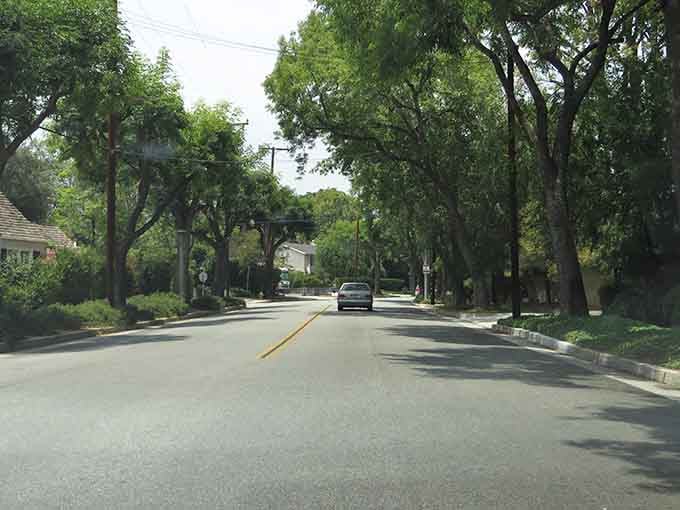 Tree-lined streets create natural tunnels of shade, the kind of neighborhood where people still know their neighbors' names.