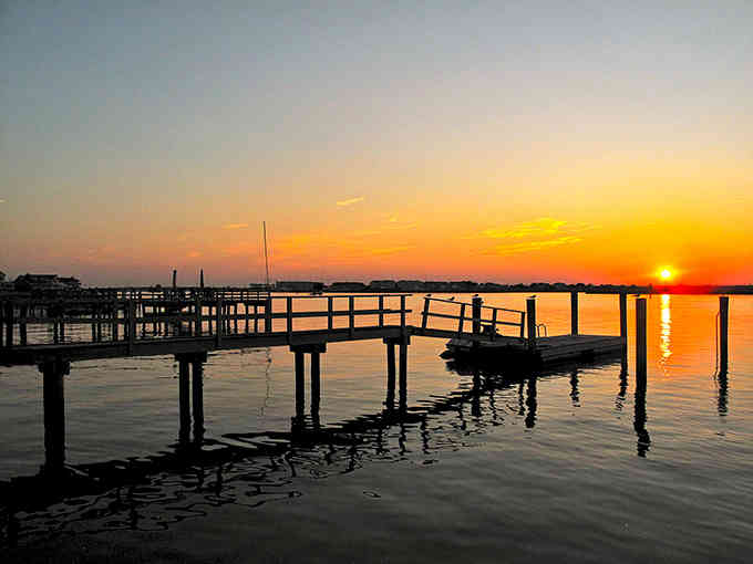 Golden hour transforms the bay into liquid fire, the kind of sunset that makes you forget your phone exists.