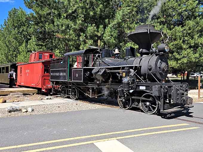 The narrow-gauge engine waits patiently at the depot, compact and charming as a perfectly tailored suit.