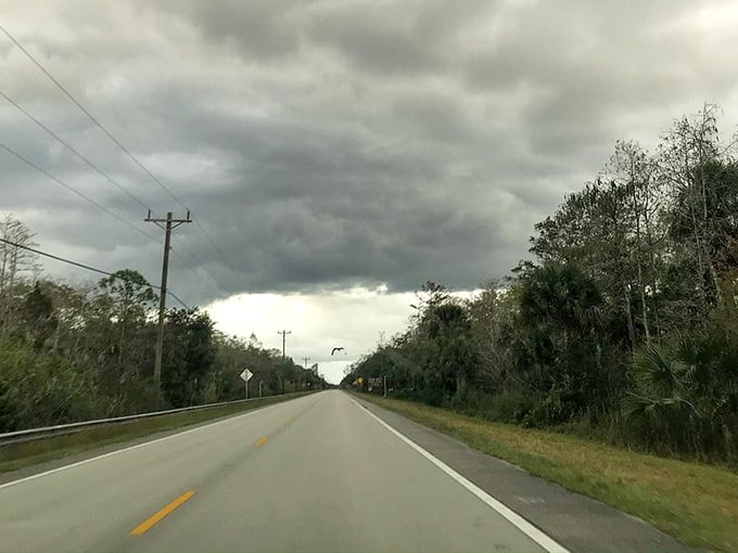 Storm clouds gather dramatically over this lonely stretch where power lines and palms mark civilization's gentle presence.