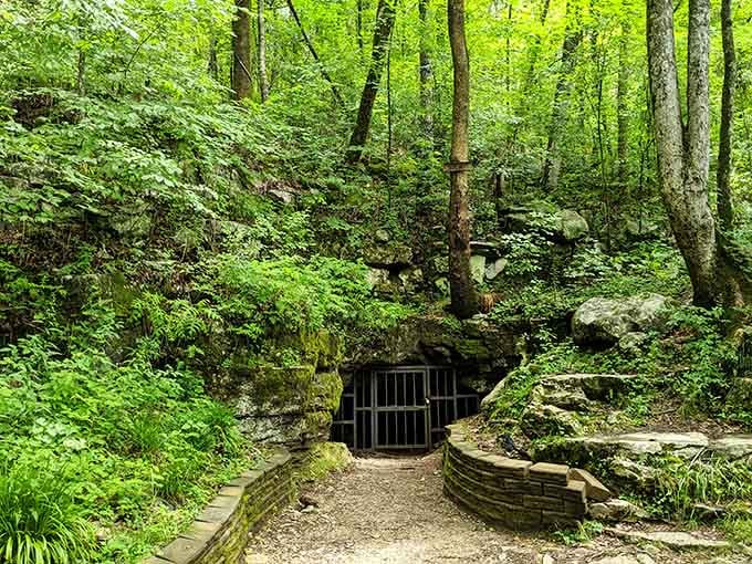 A peaceful forest path leads to this gated entrance, where thousands of years of human history await discovery.